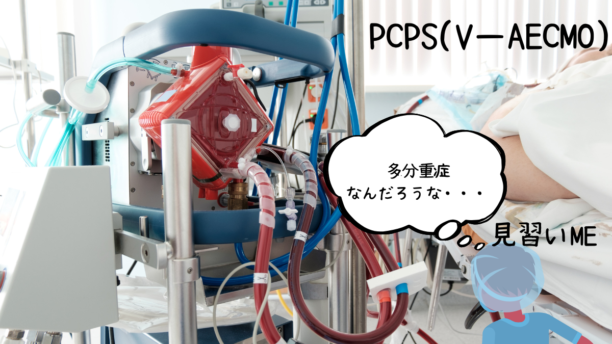 急変時に慌てない！PCPS導入の流れと臨床工学技士の役割を徹底解説 | みんなのMEセンター