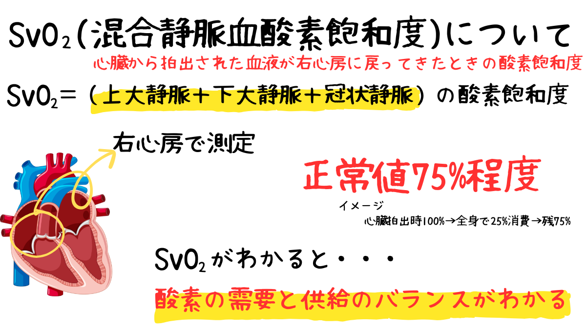 SvO₂のすべてを解説！臨床工学技士が押さえるべき基礎から応用まで | みんなのMEセンター