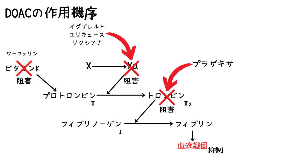 心房細動とは切り離せない DOACについて | みんなのMEセンター